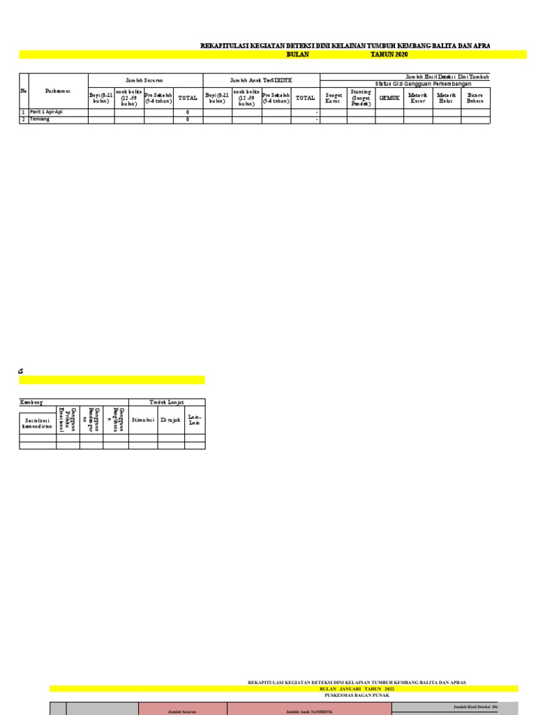 Form SDIDTK 2023 Puskesmas | PDF