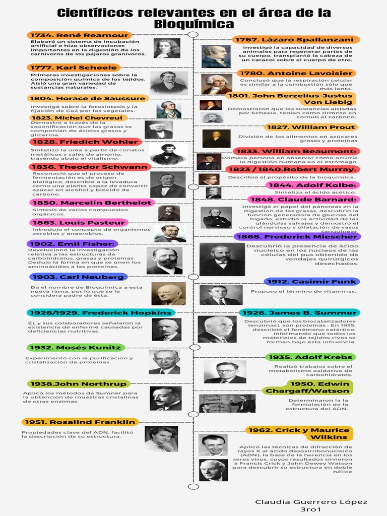 Infografía de Línea de Tiempo Timeline Hitos y Progreso de Un Proyecto ...