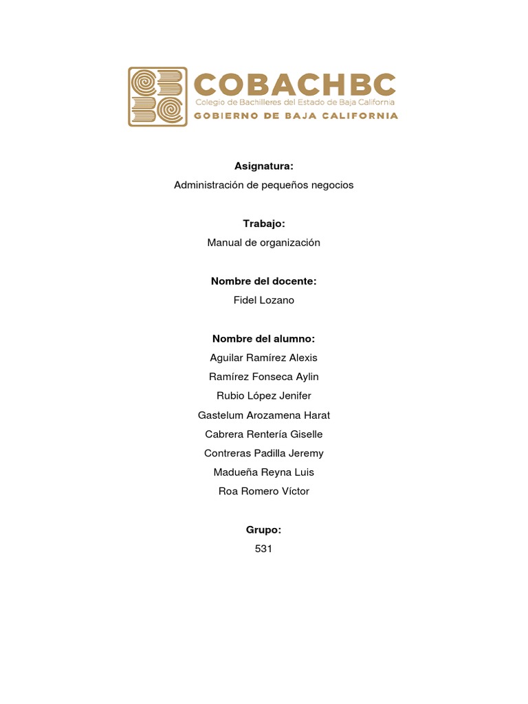 Manual de Organizacion Adm PDF | PDF | Calidad (comercial) | Marketing