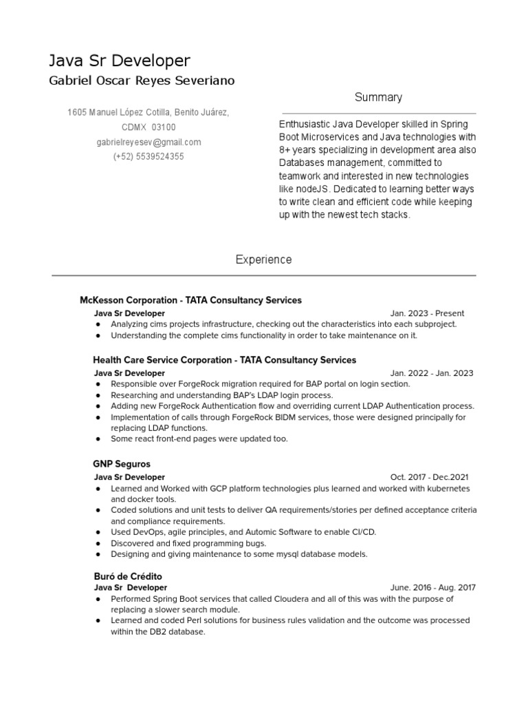 CV Gabriel Oscar Reyes Severiano | PDF | Pl/Sql | Computer Programming
