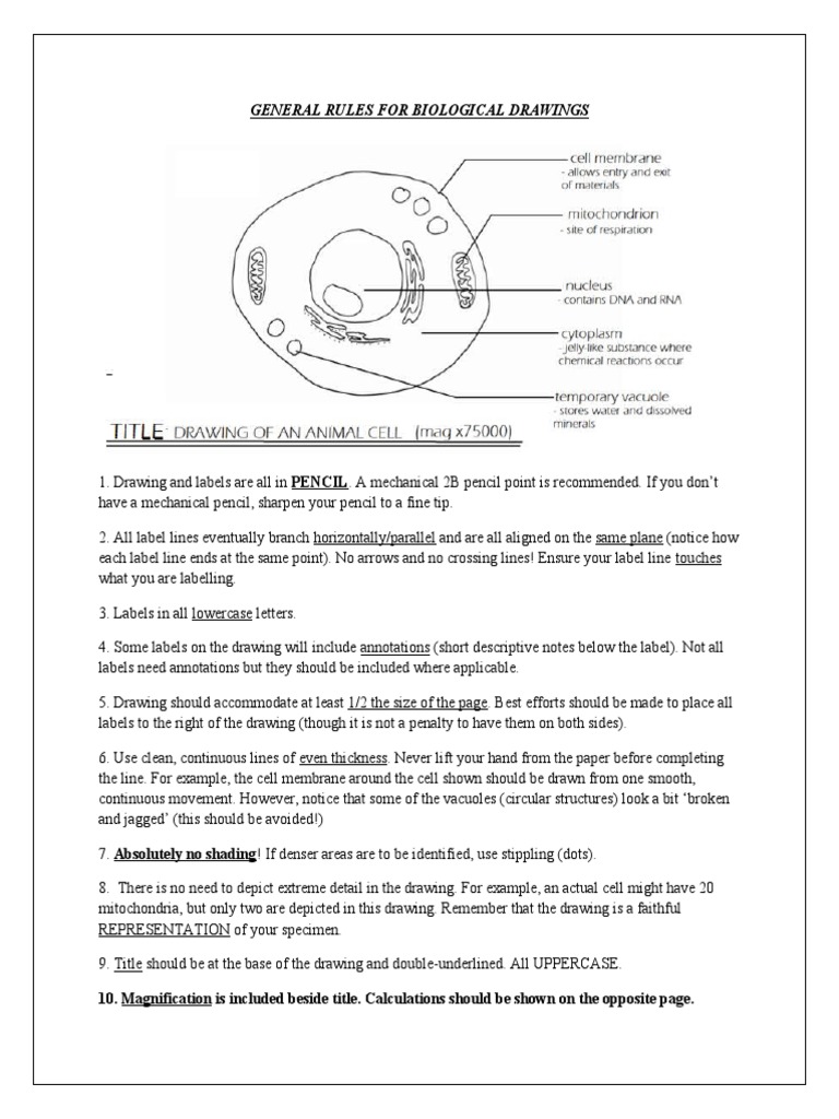 Bio P3 Notes Pdf Flowers Seed