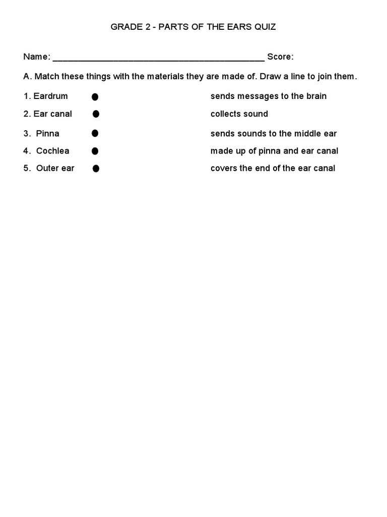 Grade 2 - Parts of The Ears Quiz | PDF