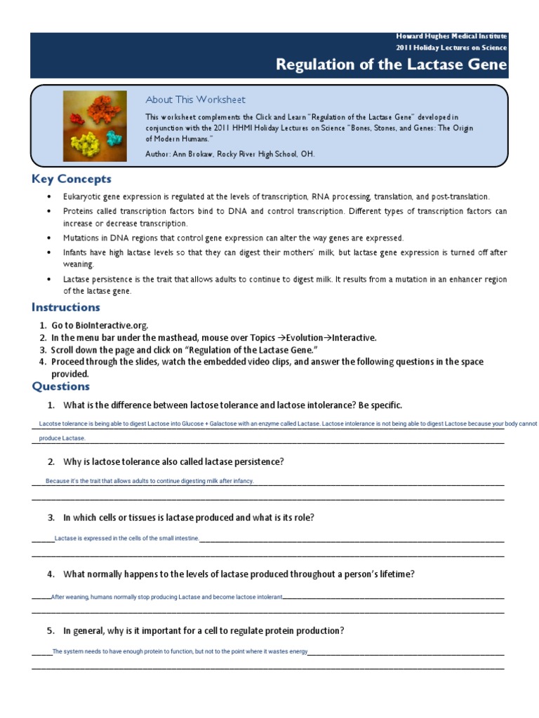 Regulation - Lactase - Gene - Click - Learn - Worksheet | PDF ...