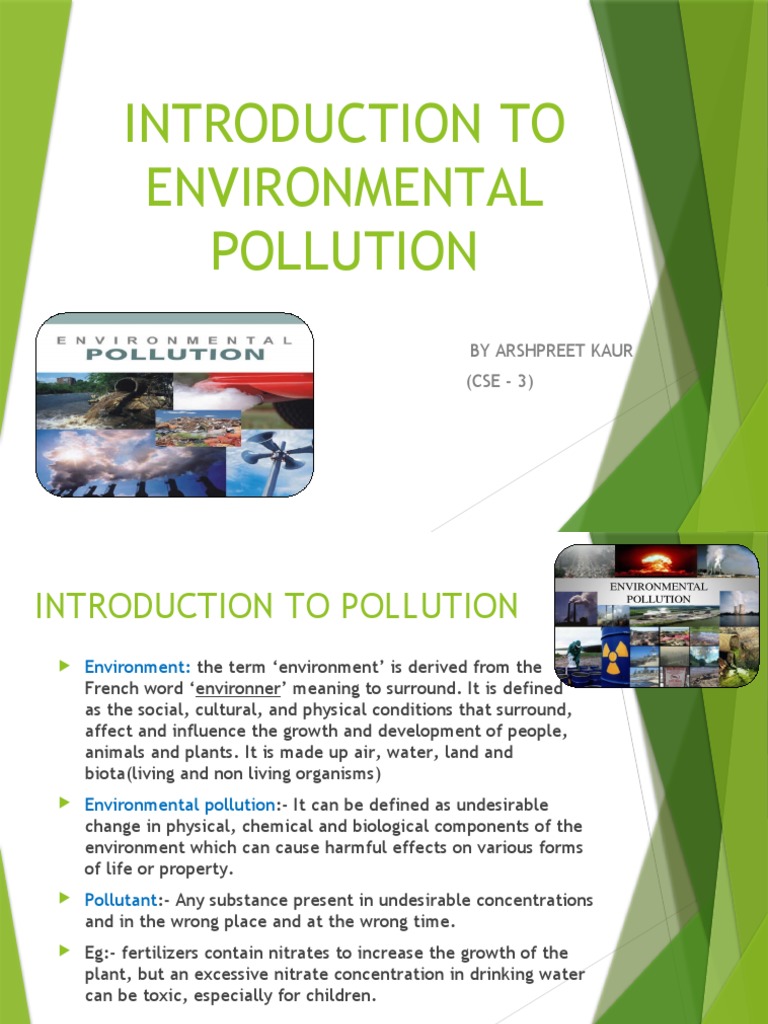 Environmental Pollution | PDF | Air Pollution | Pollution
