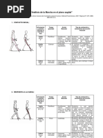Senior Fitness Test | PDF
