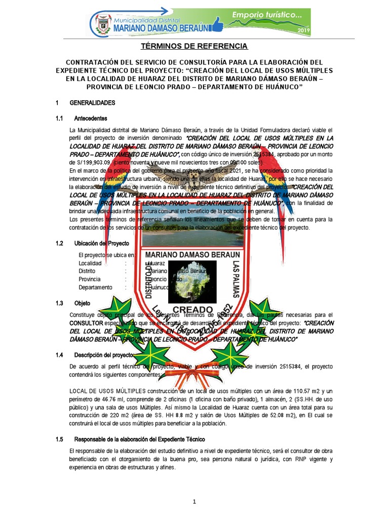 Consultoría para Proyecto Local Huaraz | PDF | Arquitecto