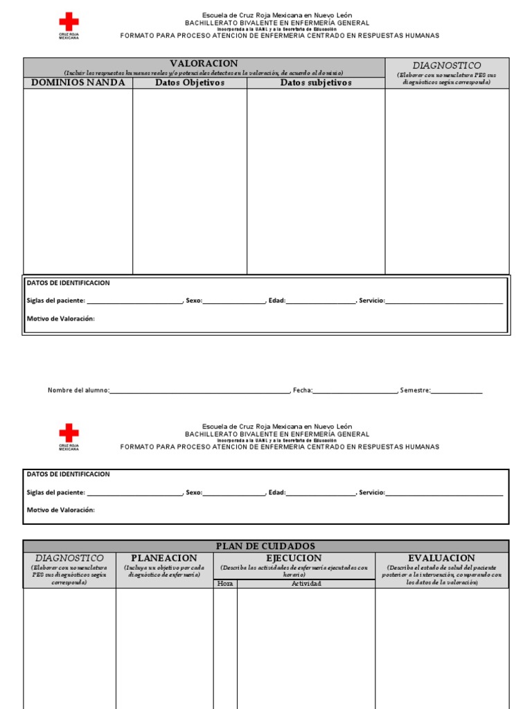 PAE Formato | Descargar gratis PDF | Enfermería | Medicina CLINICA