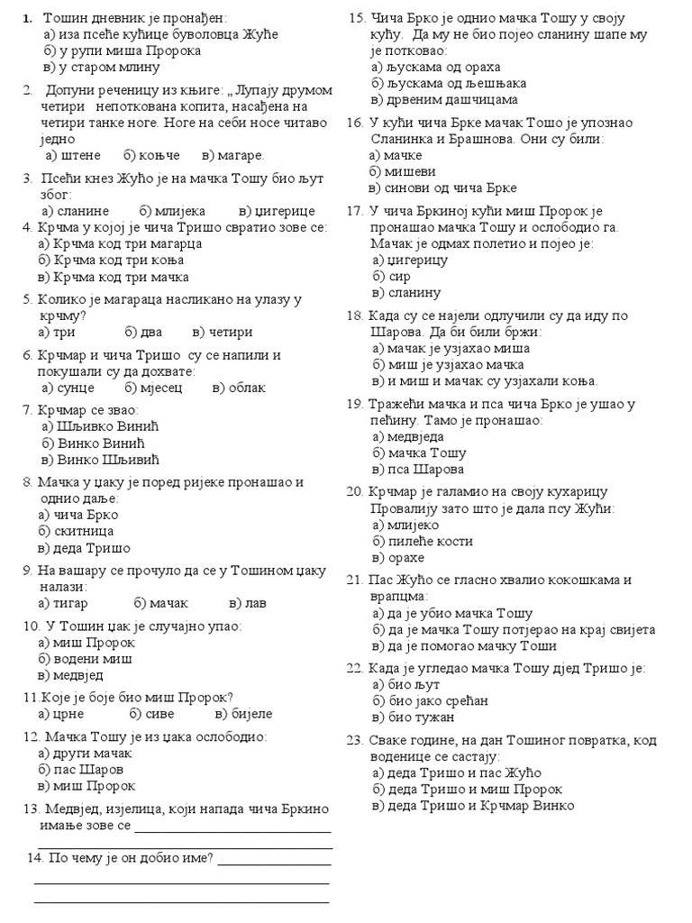 Pitanja Za Lektiru Macak Toso | PDF