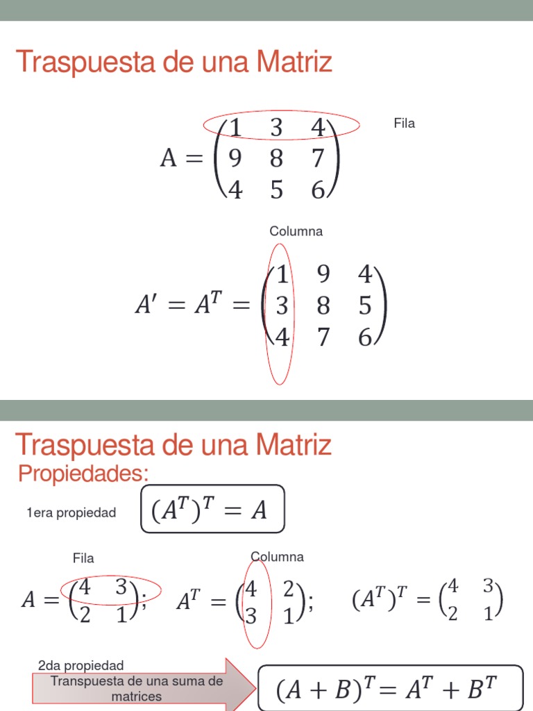 Matriz Parte 2 (2-D8) PDF | PDF | Matriz (Matemáticas) | Determinante