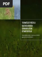 MATE Tanevi Idobeosztas 202425 Tanev ELFOGADOTT KORR 20240822 | PDF