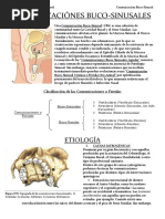 Region Geniana | PDF | Cabeza y cuello humanos | Anatomía humana
