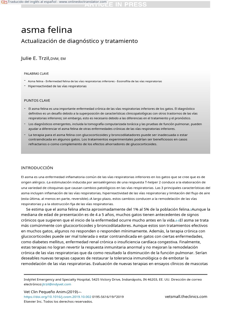Asma felina: diagnóstico y tratamiento | PDF | Asma | Bronquitis
