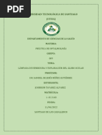 Biomicroscopía: Técnicas y Aplicaciones | PDF | Córnea | Ojo