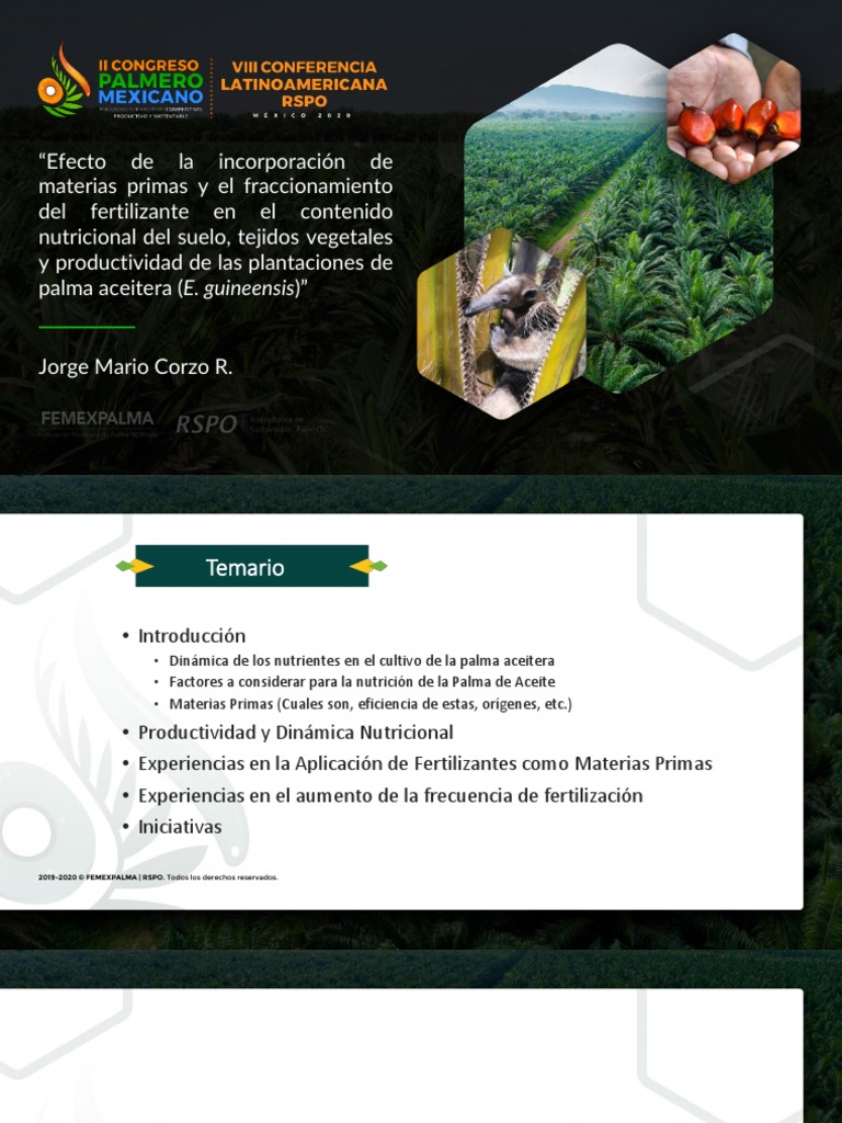 3 Mario Corzo Estrategias de Nutricion en El Cultivo de Palma de Aceite ...
