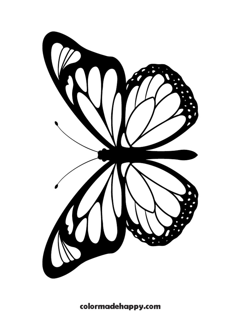 Butterfly Outline 2 PDF | PDF