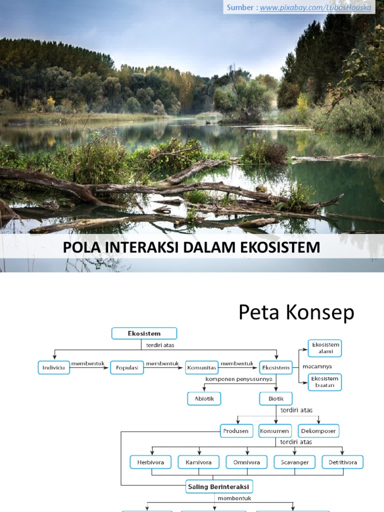 Pola Interaksi Dalam Ekosistem | PDF