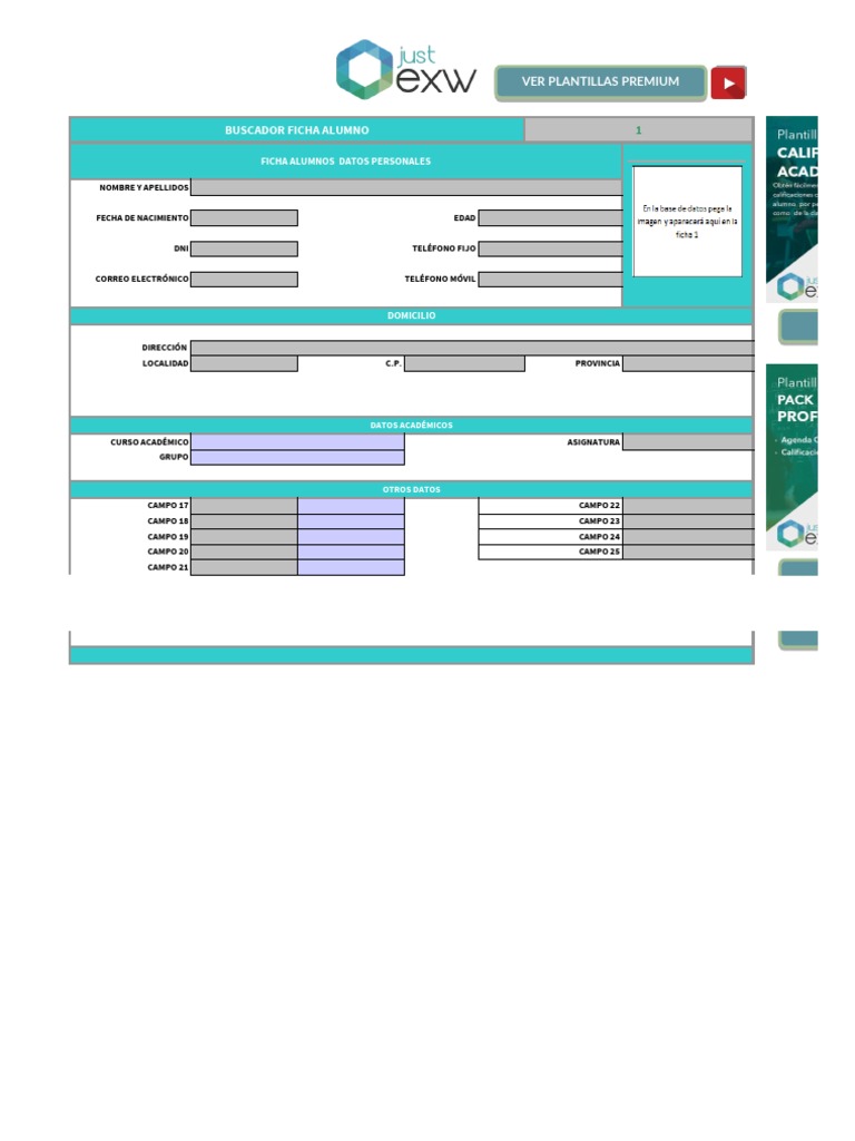 Ficha de Datos del Alumno en Excel | PDF