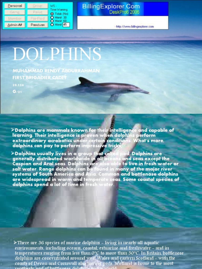 Understanding Dolphin Behavior and Habitat | PDF