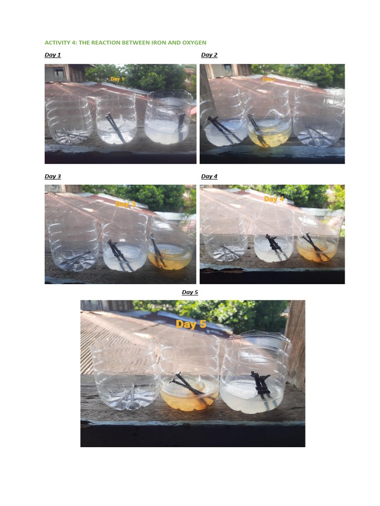 Module 5 Activity 4 | PDF | Rust | Water