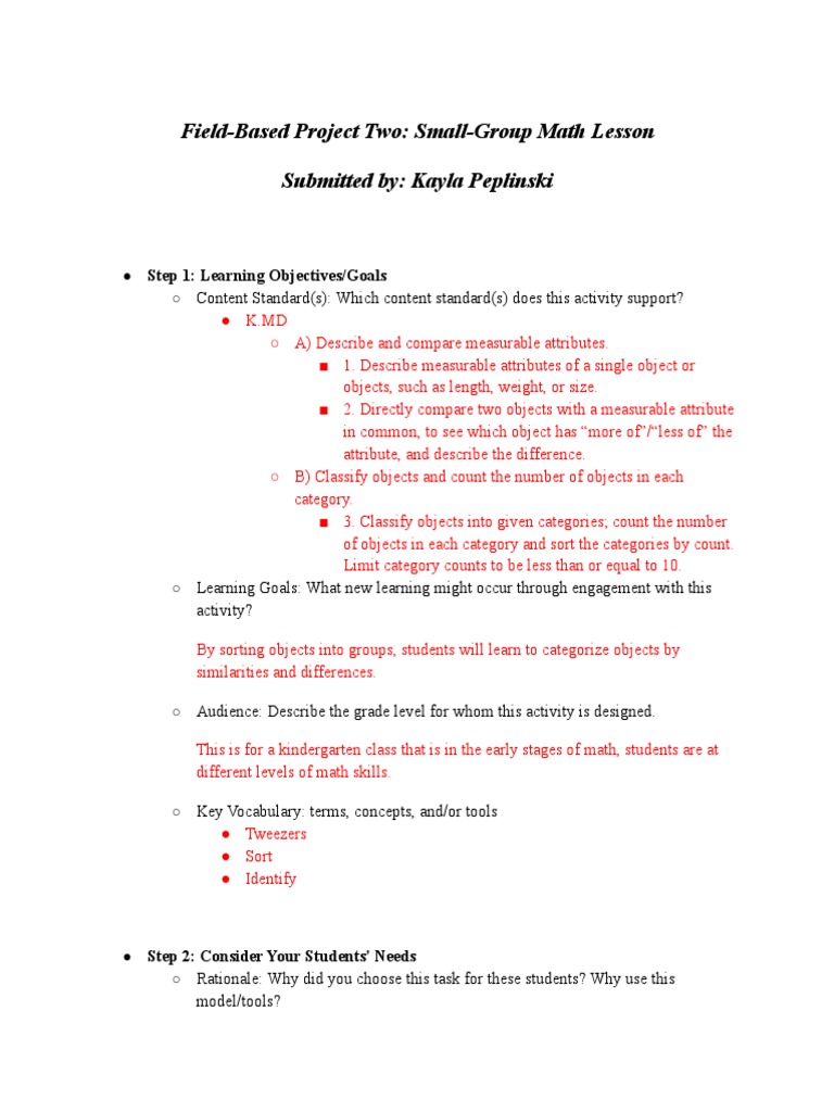 Sorting Objects Small Group Math Lesson Plan | PDF | Concept | Lesson Plan