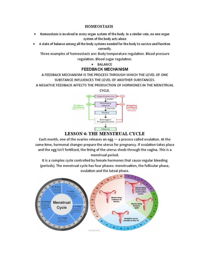 Homeostasis Notes | PDF