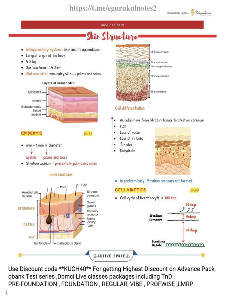 Egurukul Dermatology 3 0 Notes Pdf Pdf Coupon Marketing