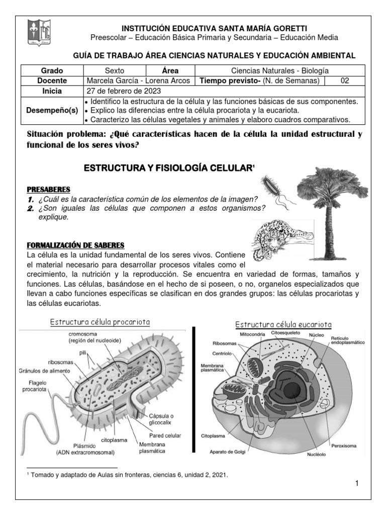 Guia 2. Estructura Celular | PDF | Biología Celular) | Plantas