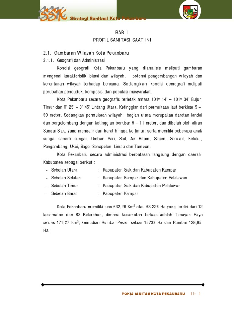 Bab II SSK PKU OK | PDF