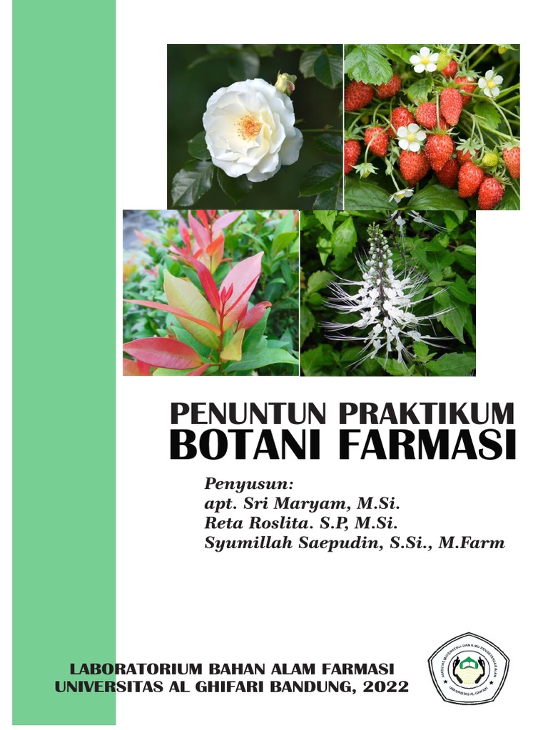 MODUL Botani Farmasi | PDF | Kesehatan Holistik