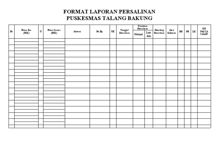 FORMAT LAPORAN Persalinan | PDF