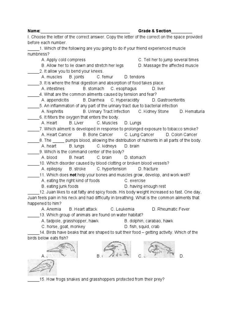 First Quiz in Esp and English | PDF | Blood | Cancer