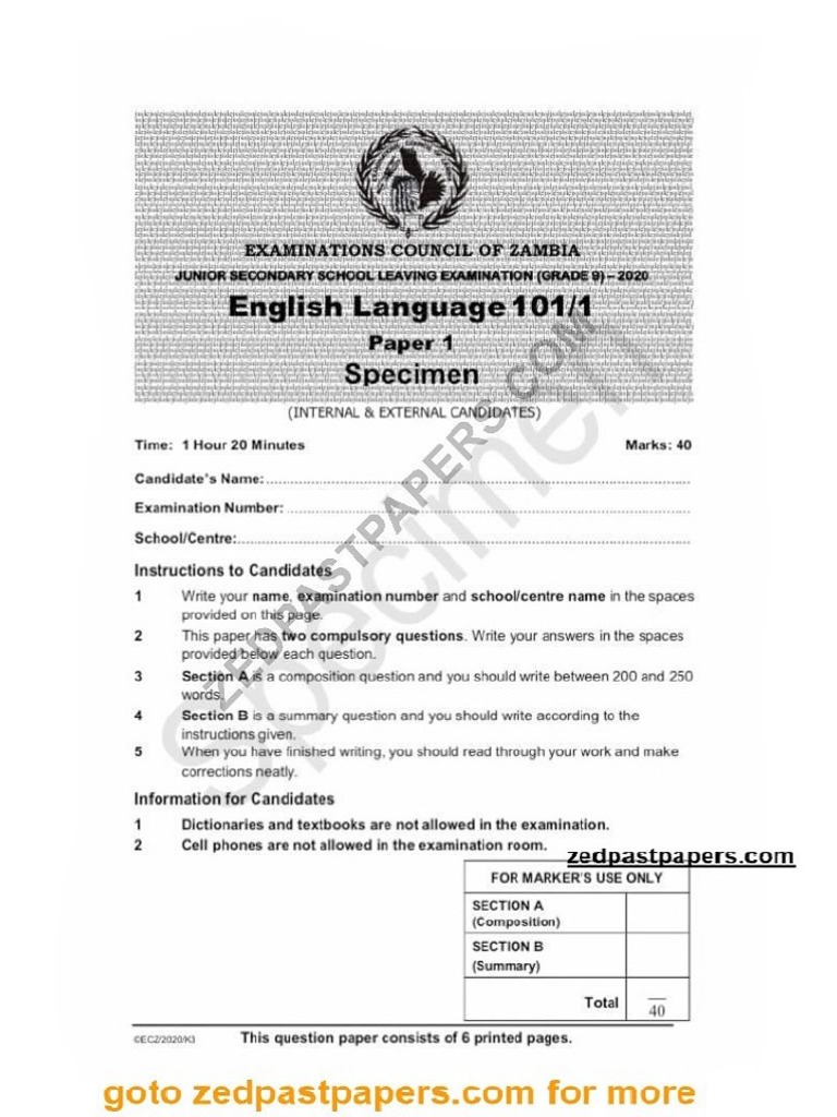 g9 English p1 2020 Specimen | PDF