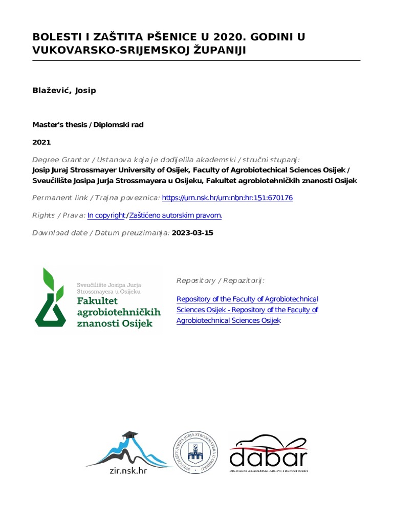 diplomski_rad_josip_blazevic_tvrdi_uvez.pdf | PDF