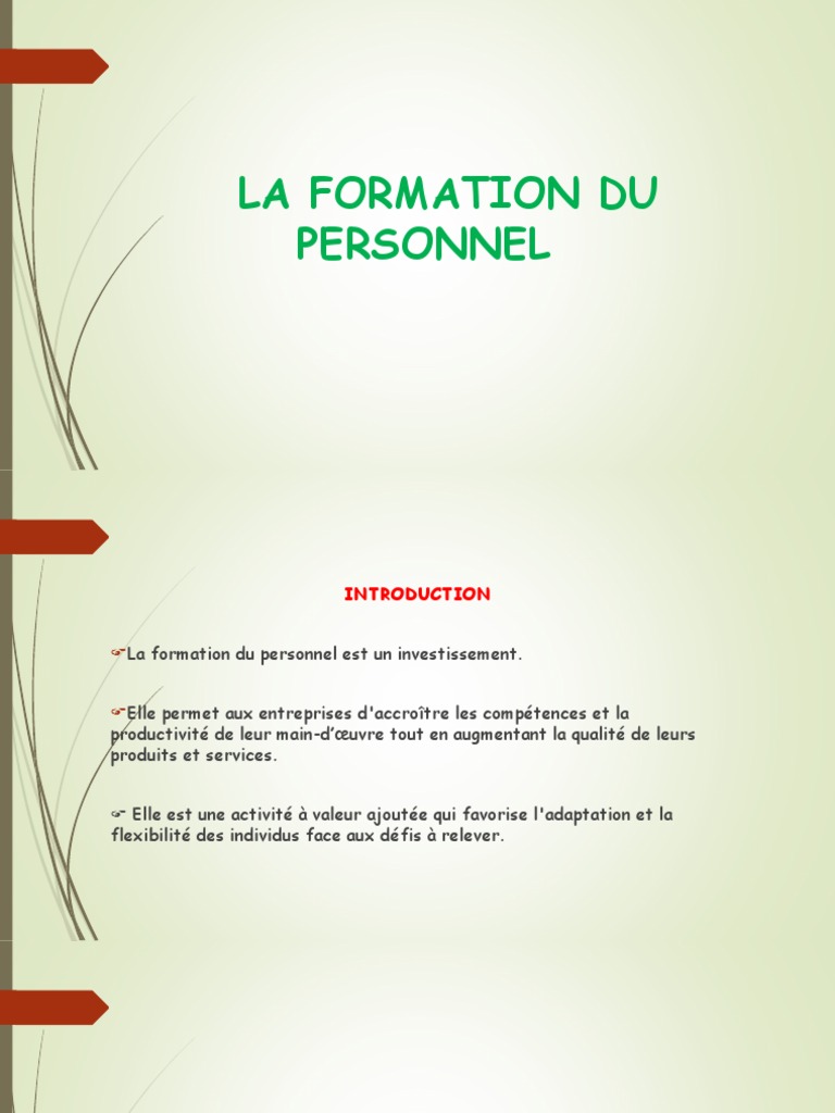 Formation du personnel : enjeux et objectifs | PDF | Business ...