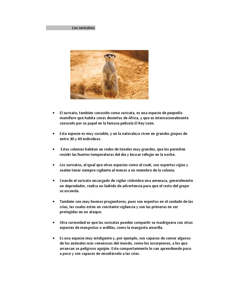 Documento | PDF | Suricata