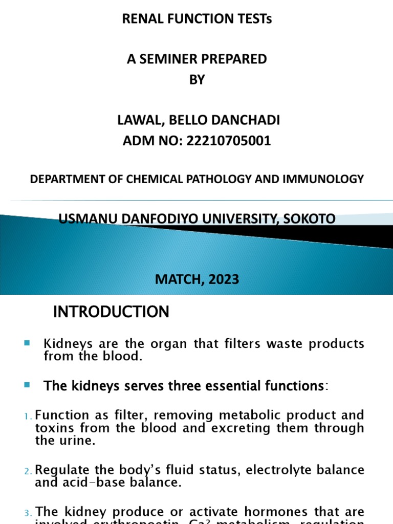 Renal Function Tests | PDF | Kidney | Creatinine