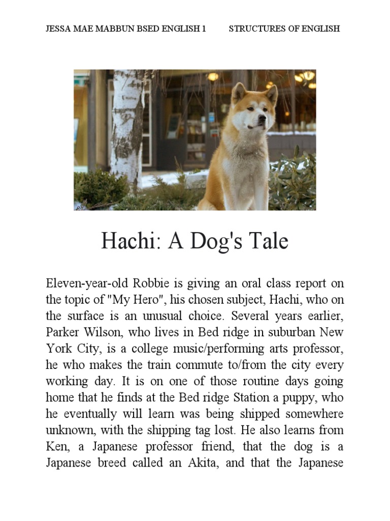 Hachi: A Dog's Tale: Jessa Mae Mabbun Bsed English 1 Structures of English | PDF