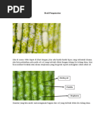 Pengamatan Sel Gabus Singkong | PDF | Griya & Taman