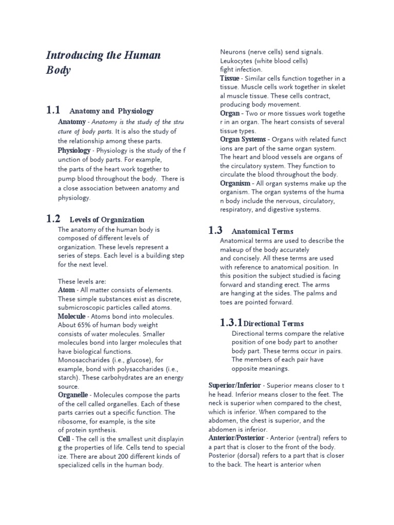 Anatomy and Physiology | PDF | Human Body | Anatomical Terms Of Location