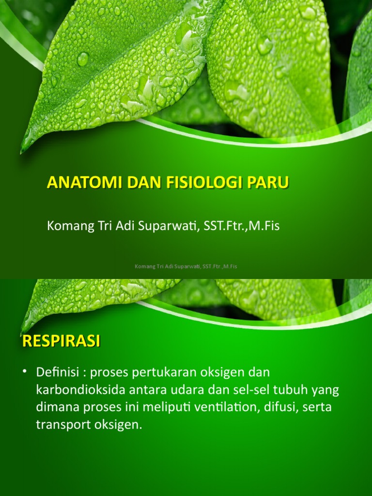 Anatomi dan Fisiologi Paru (Pertemuan-1) | PDF