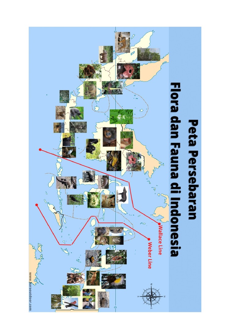 Flora dan Fauna Indonesia: Eboni dan Cendana | PDF