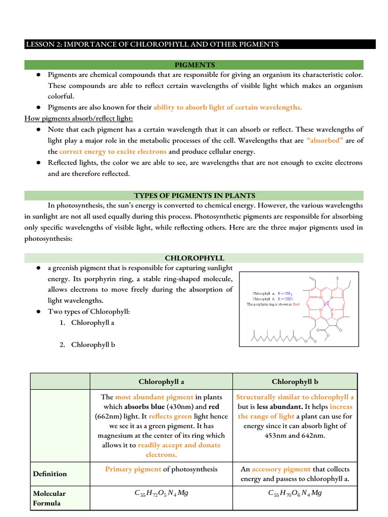 Importance of Chlorophyll and Other Pigments | PDF | Chlorophyll ...