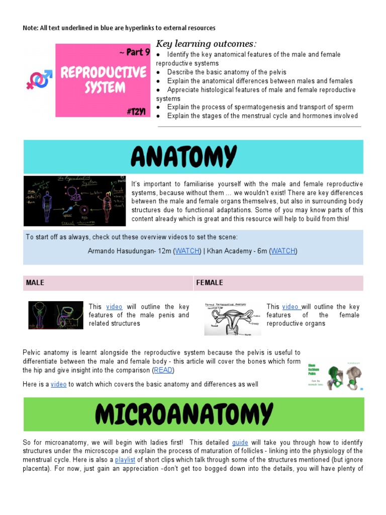 PART 9 Reproductive System PDF | PDF | Reproductive System | Anatomy