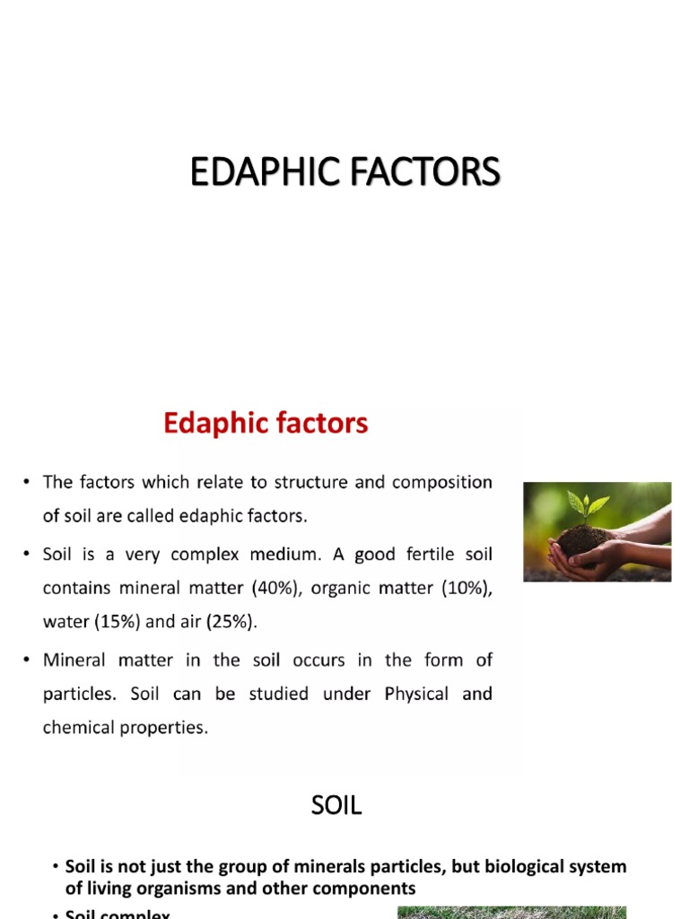 An Introduction to the Complex Biological System that is Soil ...