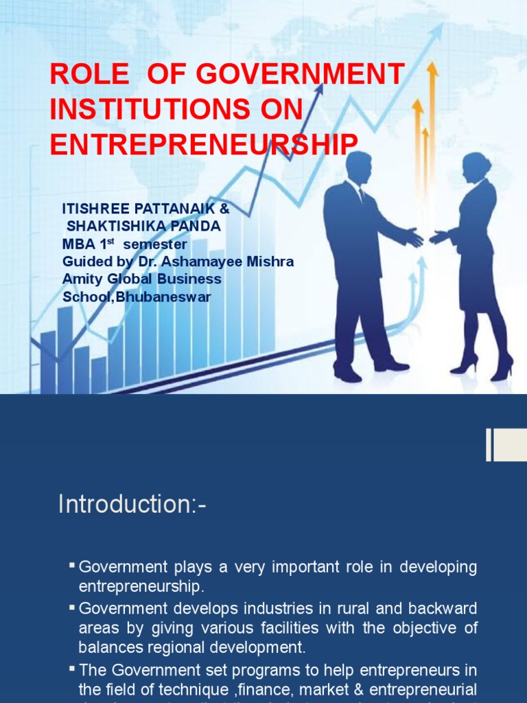 Role of Government Institution On Entrepreneurship | PDF