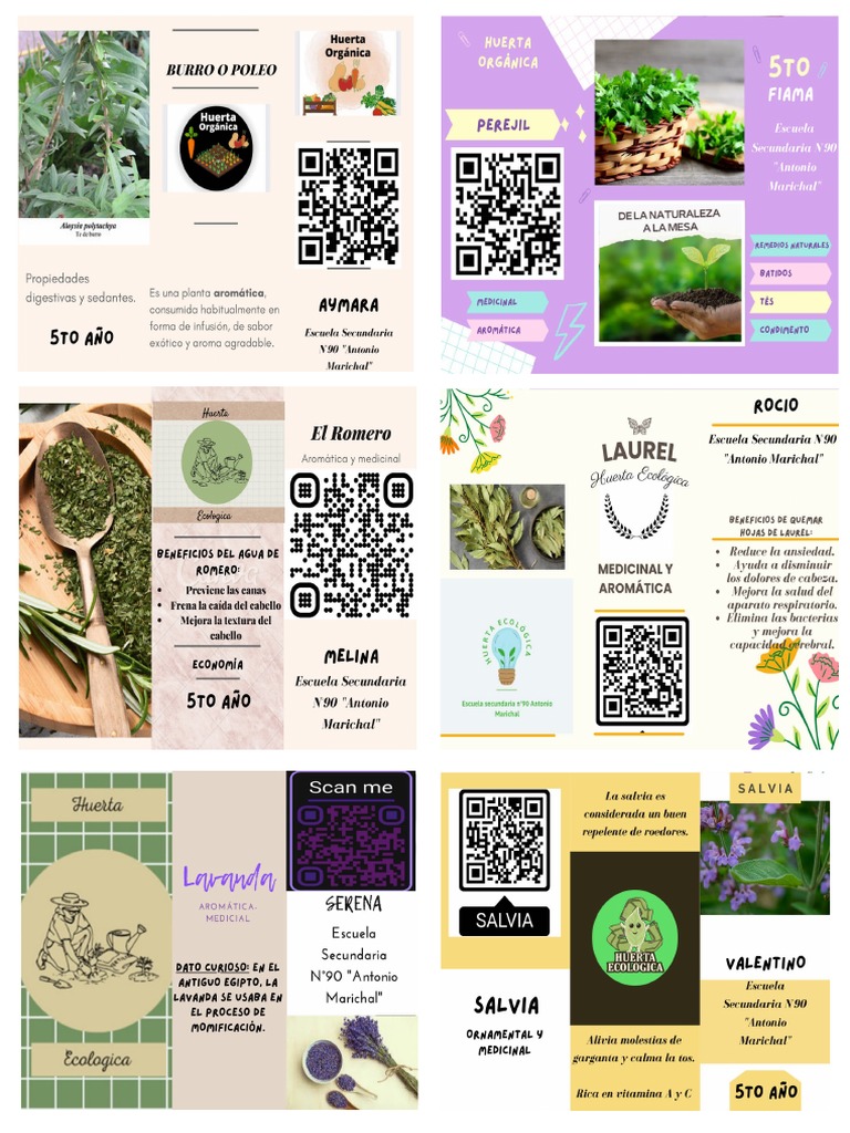 Códigos QR y Folletos de Plantas Aromáticas-Economía I | PDF
