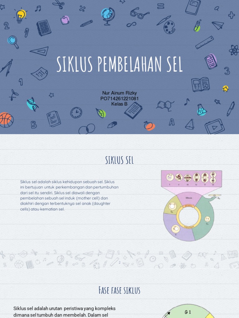 Tugas 2 Siklus Pembelahan Sel PDF | PDF