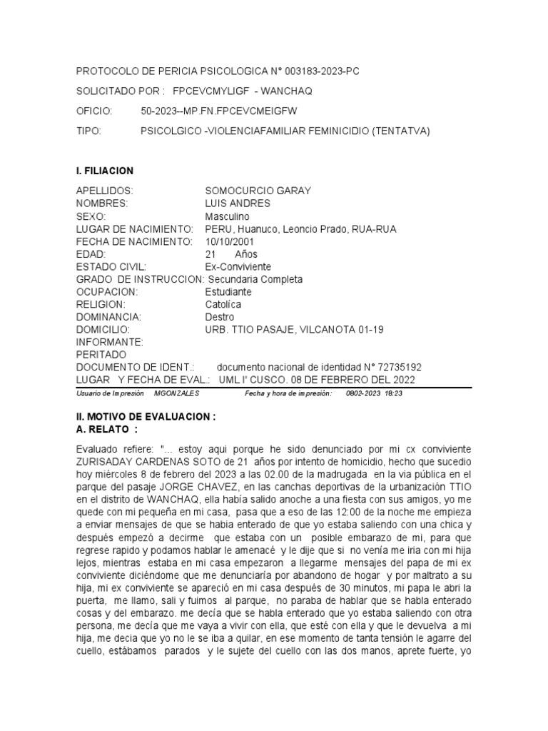 Protocolo de Pericia Psicologica N | PDF