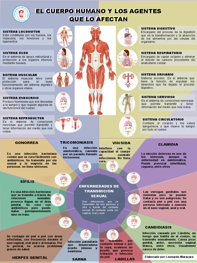 Leonardo Maracara. Afiche. III Entrega | PDF | Sistema digestivo humano ...