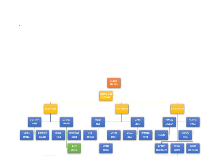 Business Structure | PDF